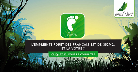 Envol Vert - Take the Forest Footprint® Quiz!